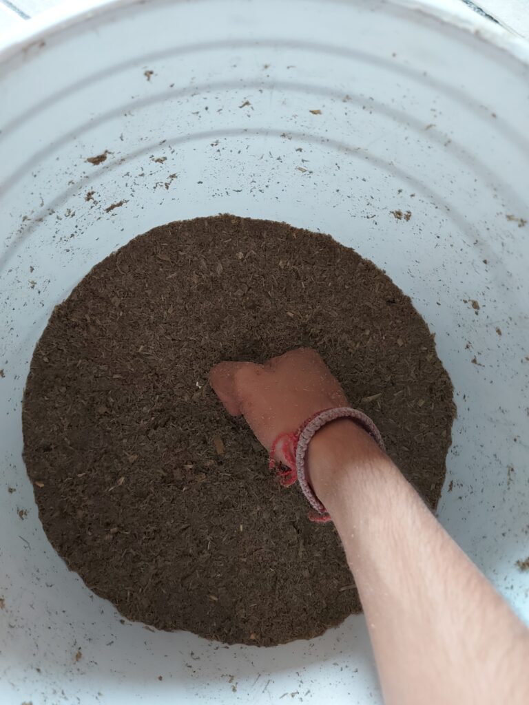 ¿Cómo hacer bocashi en casa? Guía completa para elaborarla