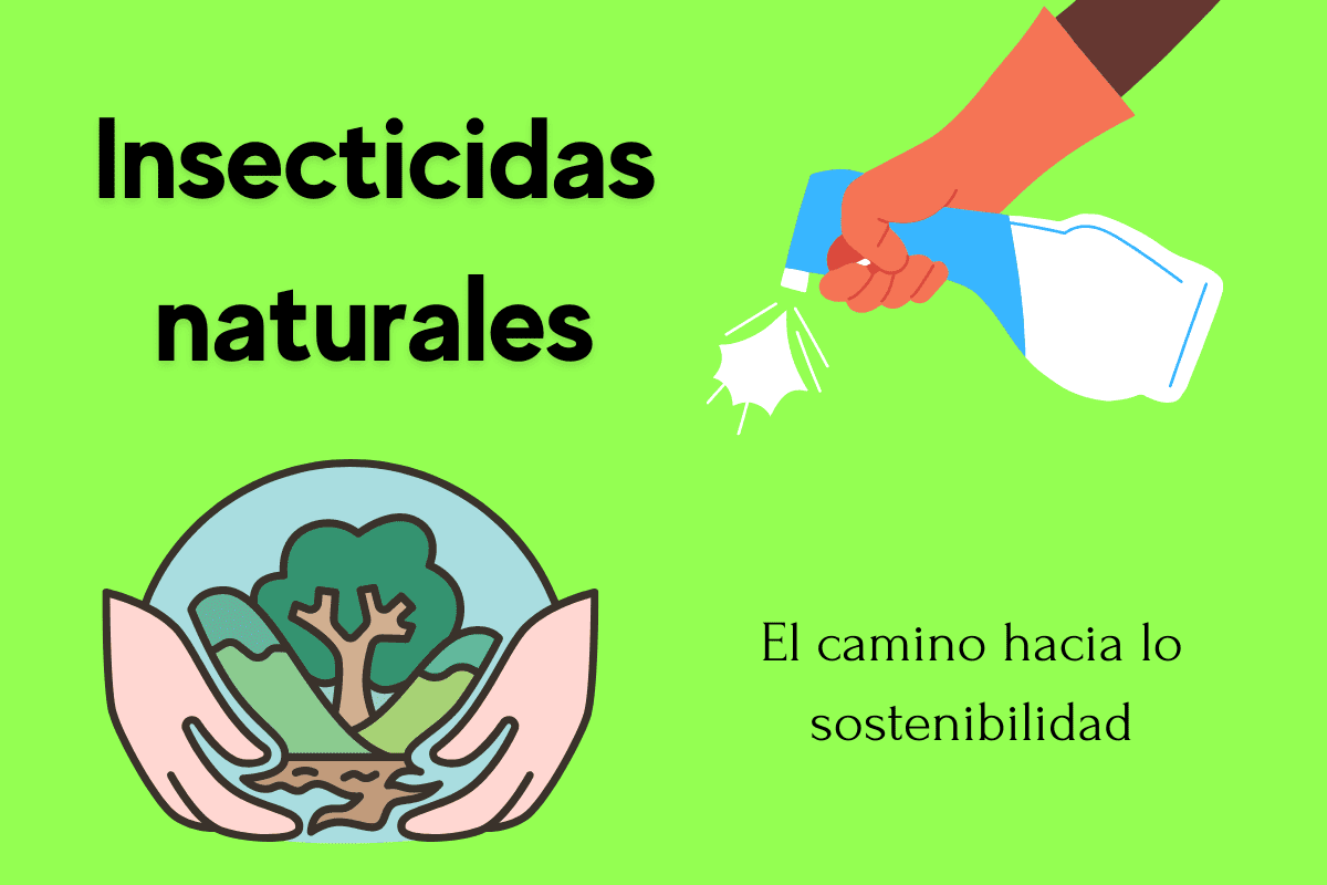 Insecticidas naturales para plantas; hacia la sostenibilidad