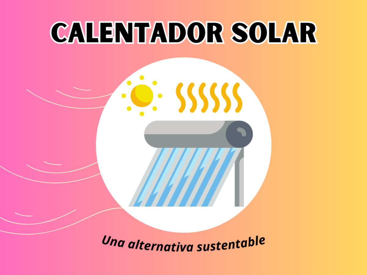 Sistema Casero De Calentador De Agua Solar Calentador De Agua A Leña