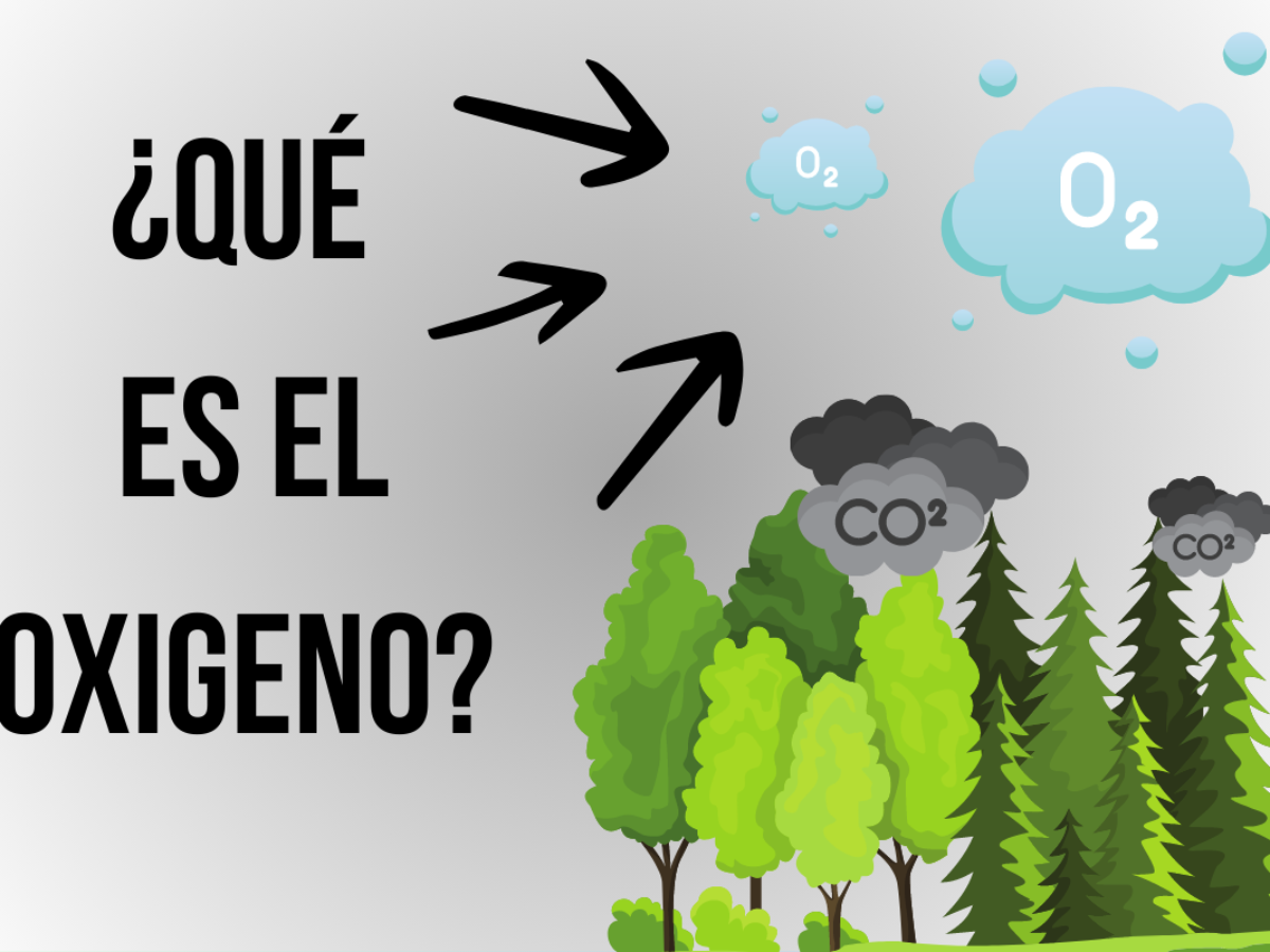 Ciclo Simple Del Oxigeno Vectores De Ciclo Oxigeno Descarga Vectores