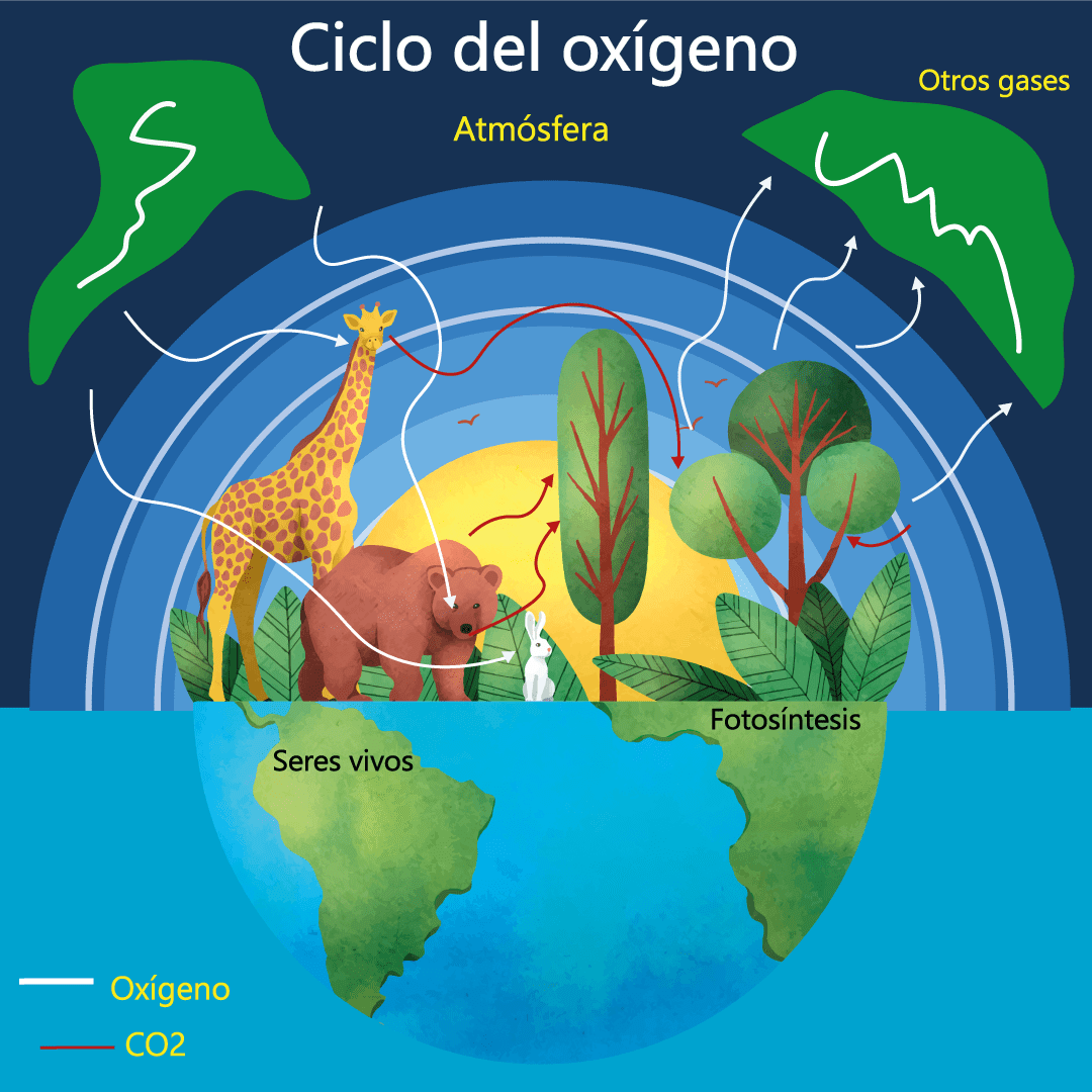 ¿Qué es el oxígeno y como se produce en el planeta?