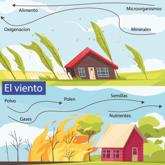 ¿Qué es el viento?, y su importancia