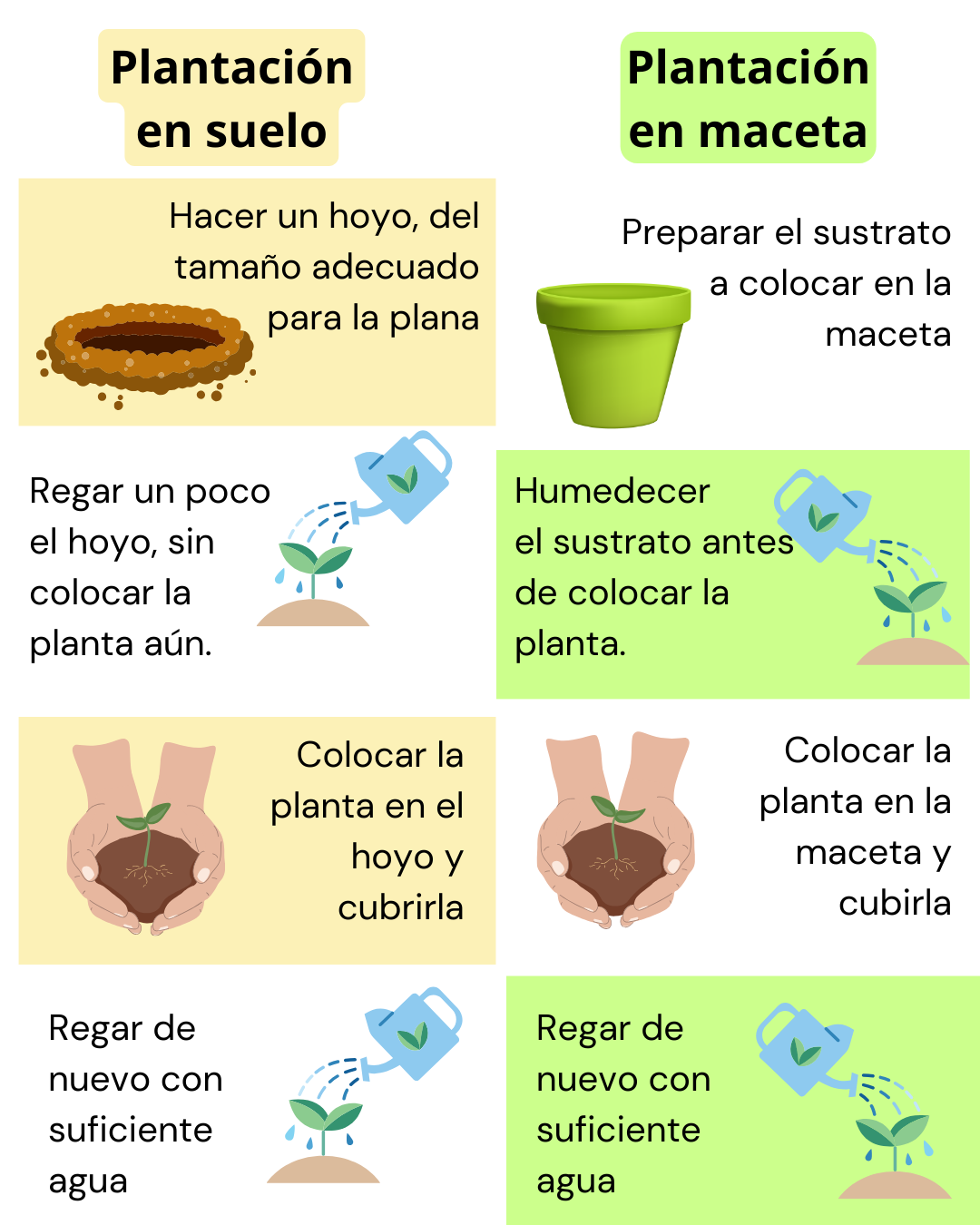 ¿Cómo trasplantar y plantar las plantas? Consejos