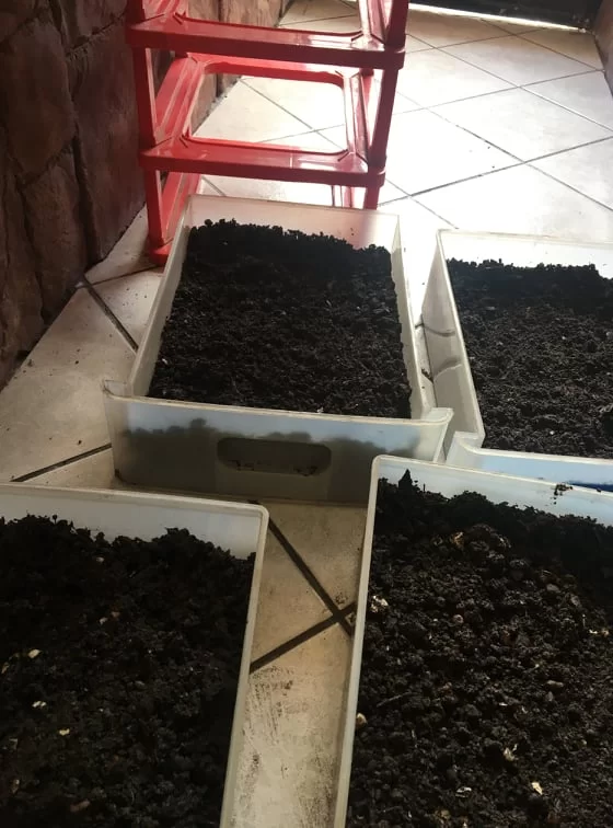 Compostera Sencilla En Casa Cómo Hacer Compost Casero De Forma