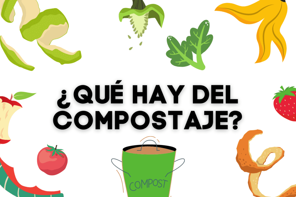 ¿Qué es la composta? (su importancia y beneficios)
