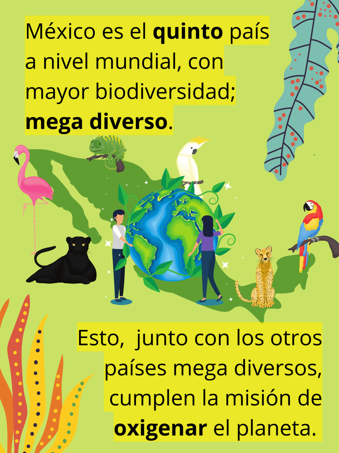 La biodiversidad de México en su máximo resplandor.